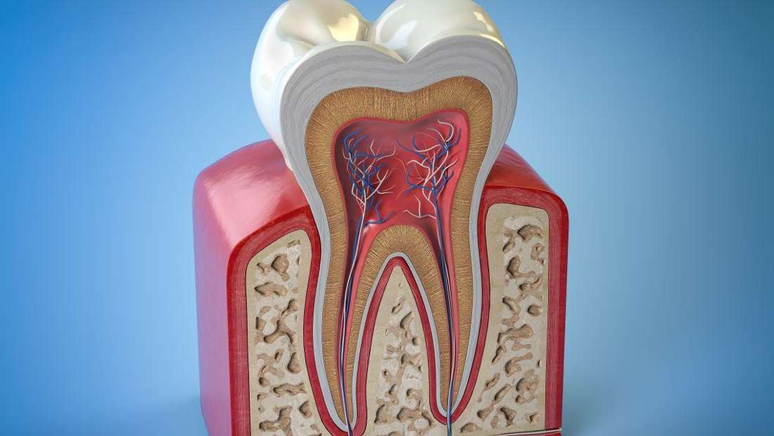 Root Canal Aftercare: Tips for a Smooth Healing Process | Root Canals ...